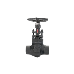 Forged Steel (FS) GLOBE VALVE